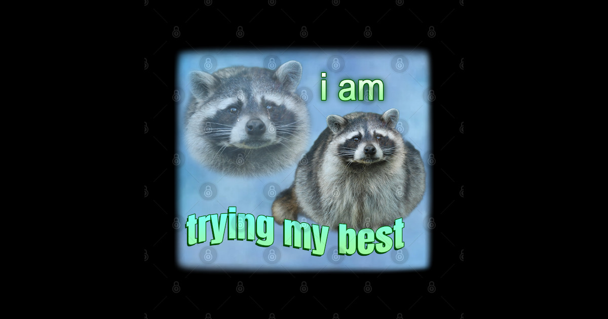 I'm trying my best raccoon meme - Raccoon - Sticker | TeePublic