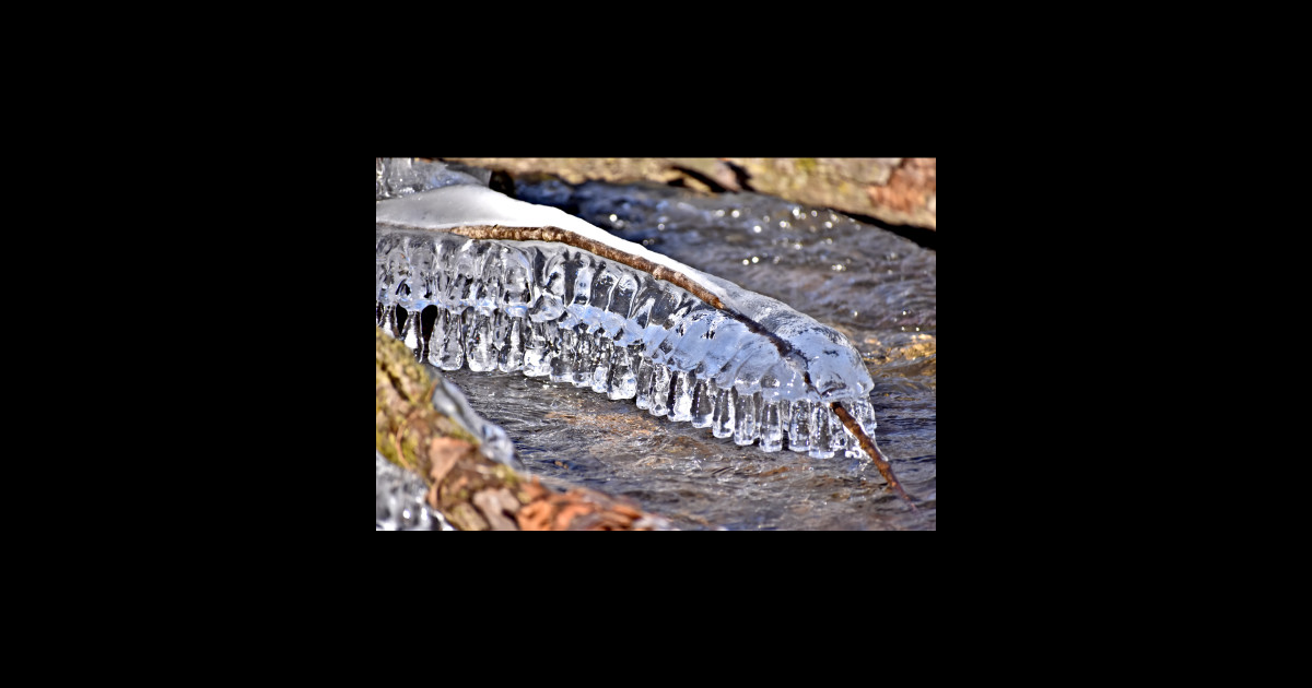 Ice Bells on a Stick - Ice Bells - Sticker | TeePublic