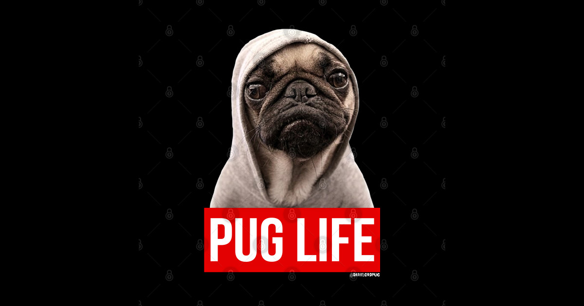 PUG LIFE PUG - Pugs - Sticker | TeePublic