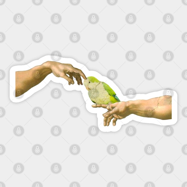 Michelangelo's green quaker parrot - Birb Memes - Sticker | TeePublic