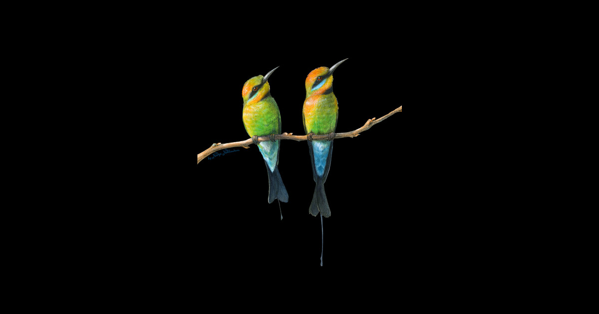 Rainbow Bee-Eaters Watercolour Design - Blue Background - Rainbow Bee ...