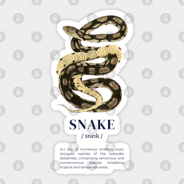 Snake - Animal Dictionary Definition Reptile - Snake Lover - Sticker ...