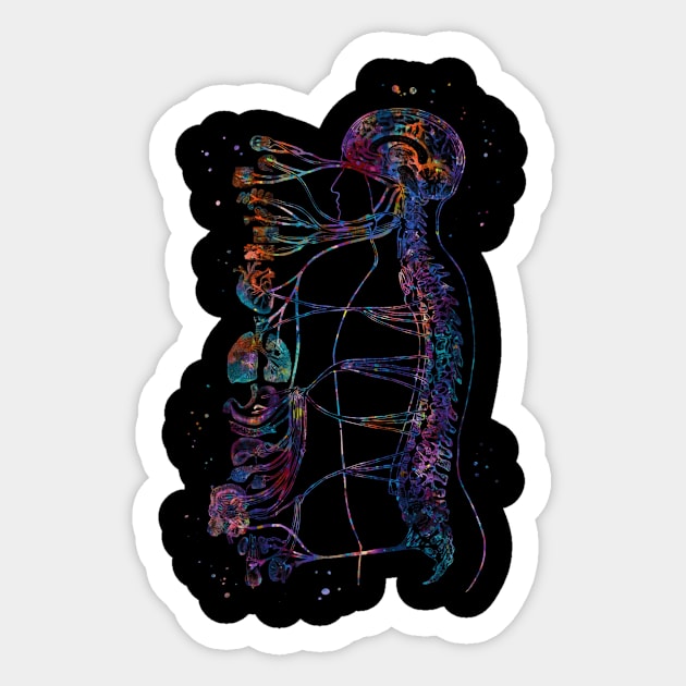 Autonomic Nervous System - Autonomic - Sticker | TeePublic