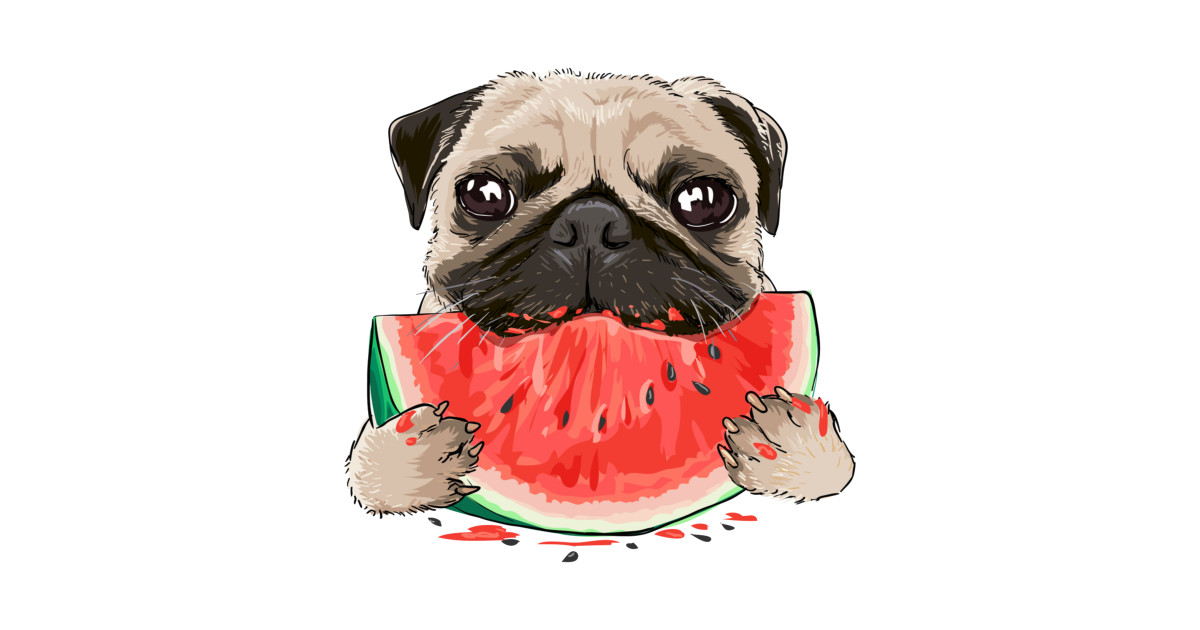 funny funny pug dog eating watermelon - Pug Dog - T-Shirt | TeePublic