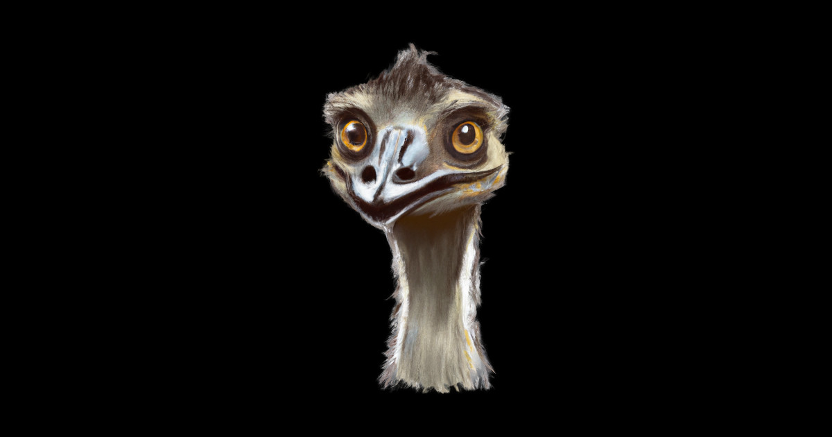 Cute Emu Drawing - Cute Emu - Posters and Art Prints | TeePublic