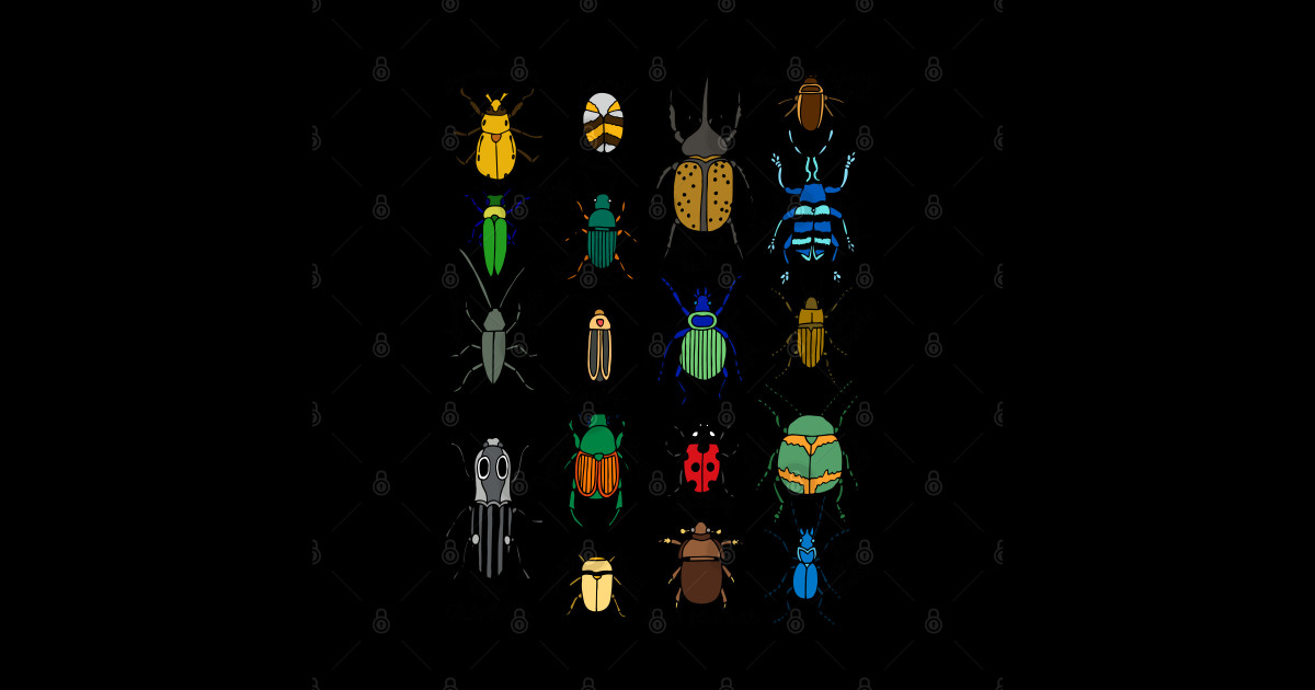 Beetles - Beetles - Posters and Art Prints | TeePublic