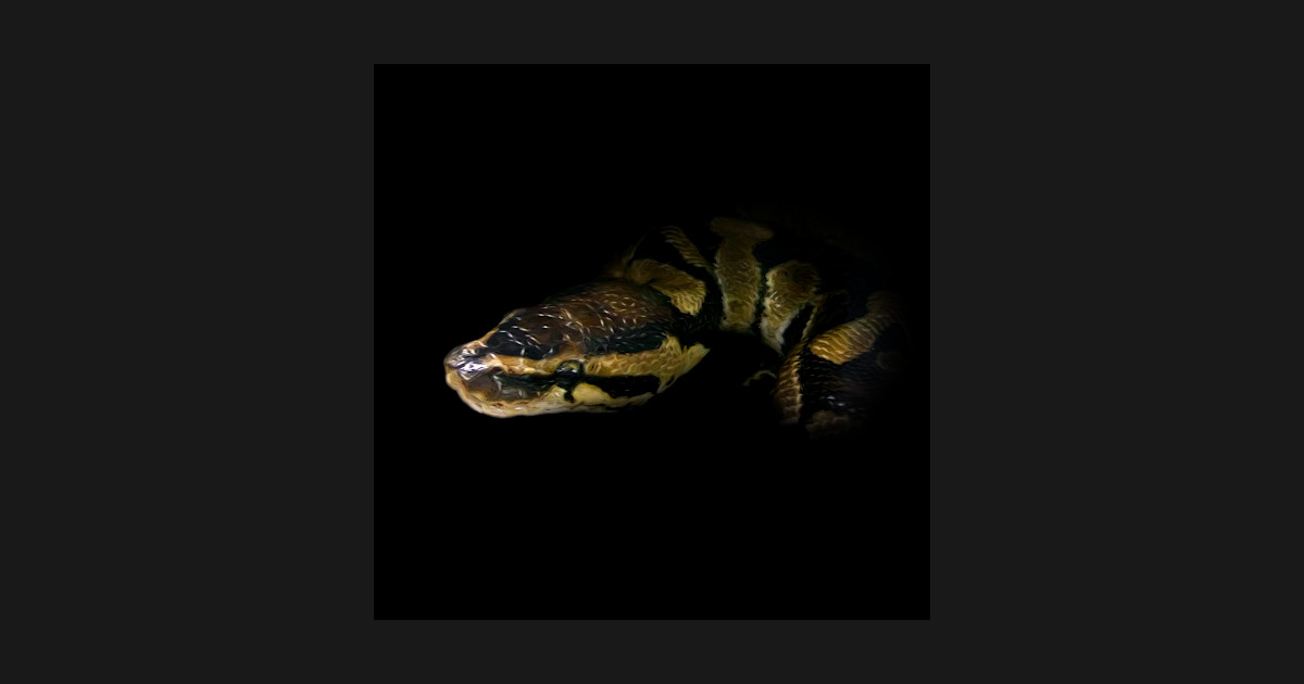 Python - Python - T-Shirt | TeePublic