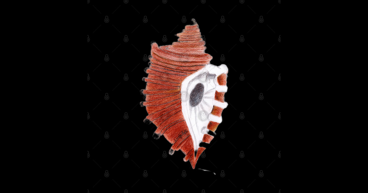 Seashell on the beach - Seashell - Sticker | TeePublic