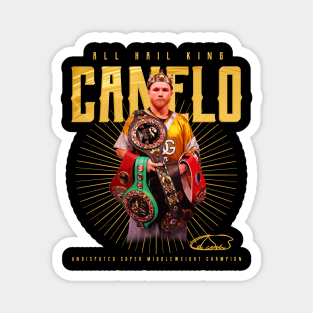 Canelo Alvarez Canelo Alvarez Alvarez Canelo Boxing Kick Boxing Sport ...