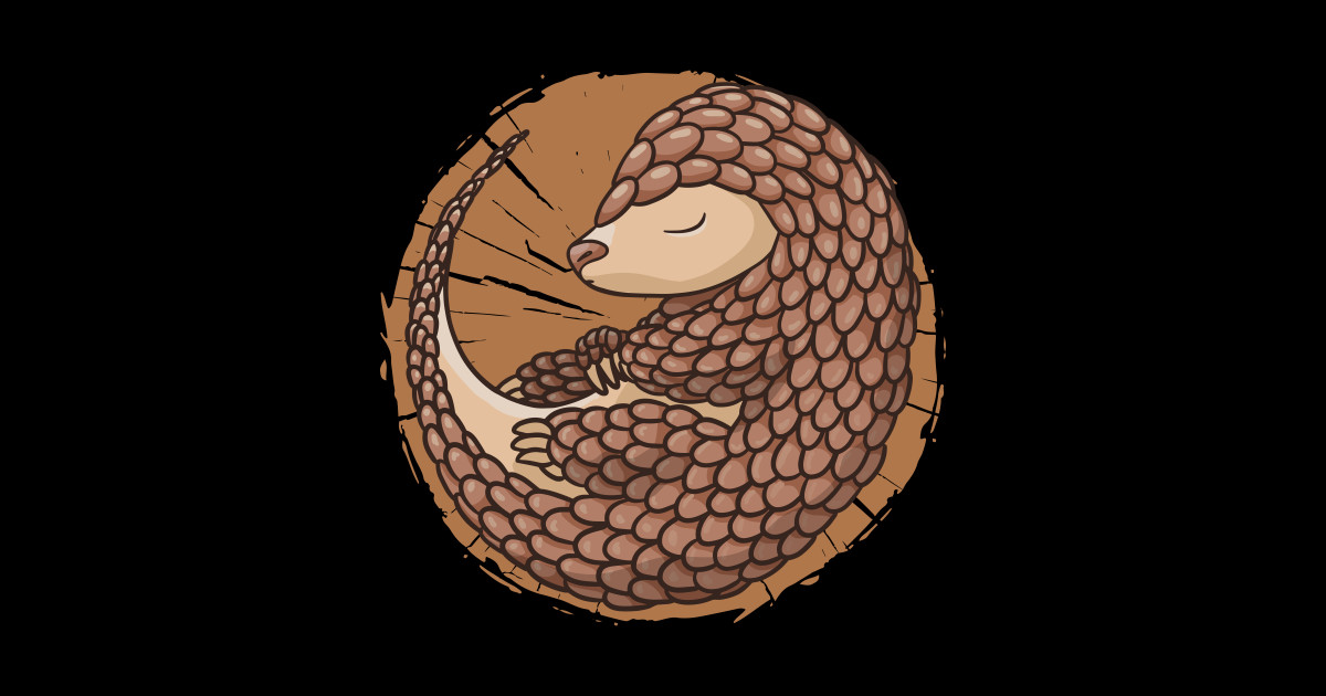 Cute Sleeping Pangolin Illustration - Pangolin - Posters and Art Prints ...