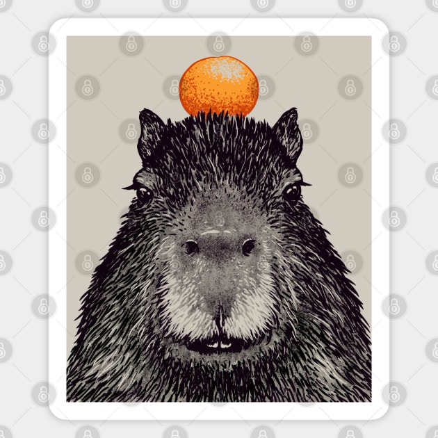 Capybara Orange | Capy Yuzu | Capybara with Orange on Head | His Name ...