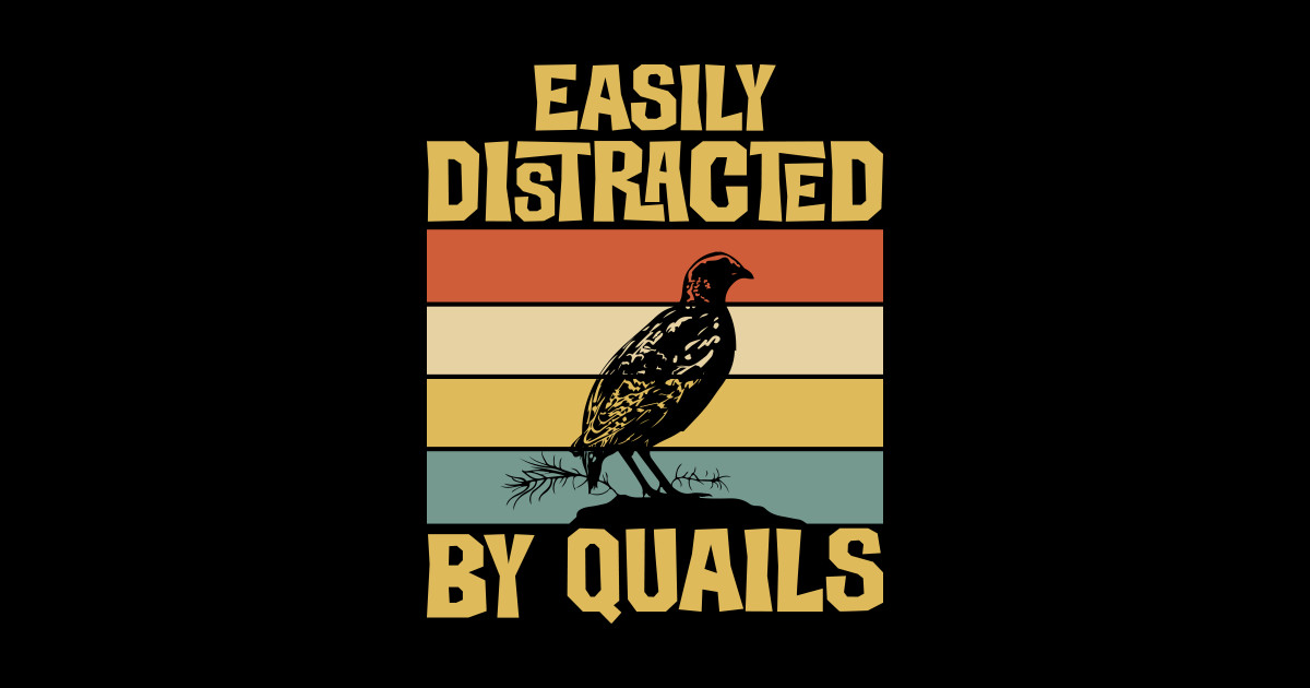 Easily Distracted By Quails Funny - Quail - Sticker | TeePublic