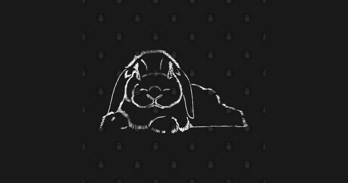 "Grumpy Lop" Jamie's Hand-Drawn Rabbit Collection - Bunny Rabbit - T ...