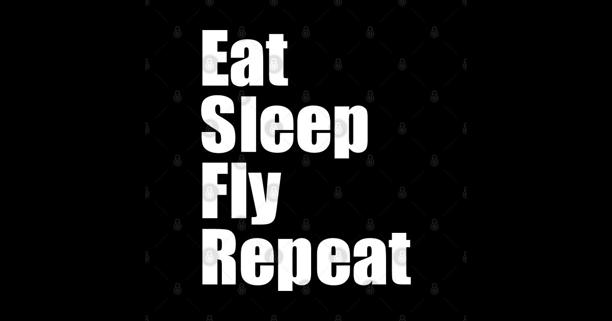 Eat Sleep Fly Repeat - Eat Sleep Fly Repeat - T-Shirt | TeePublic