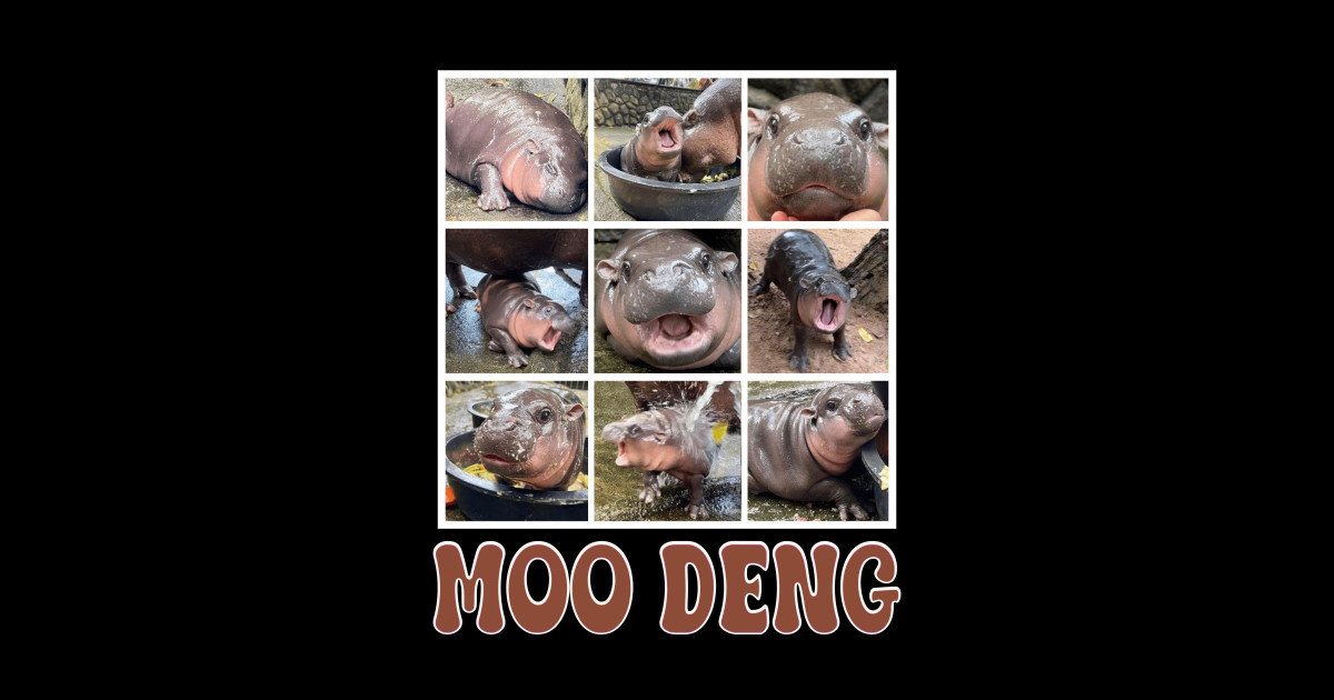 Moo Deng funny - Moo Deng - Posters and Art Prints | TeePublic