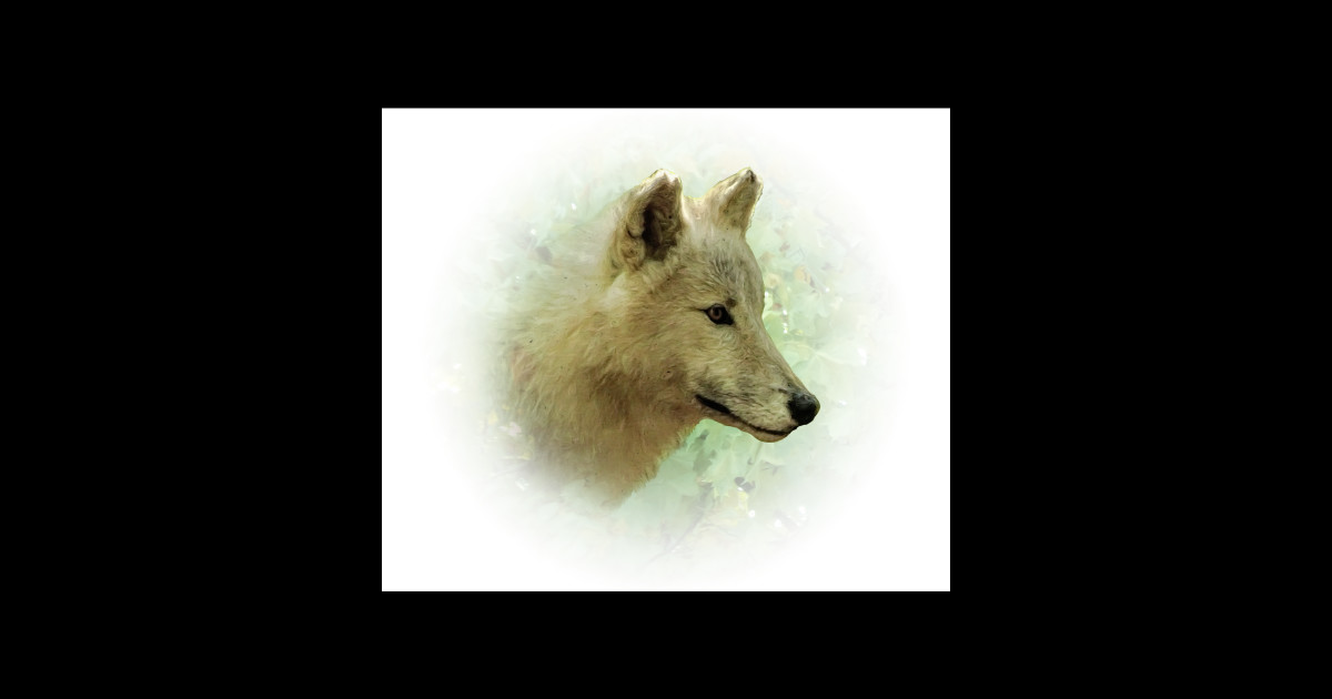 White Wolf - Wolf - Sticker | TeePublic