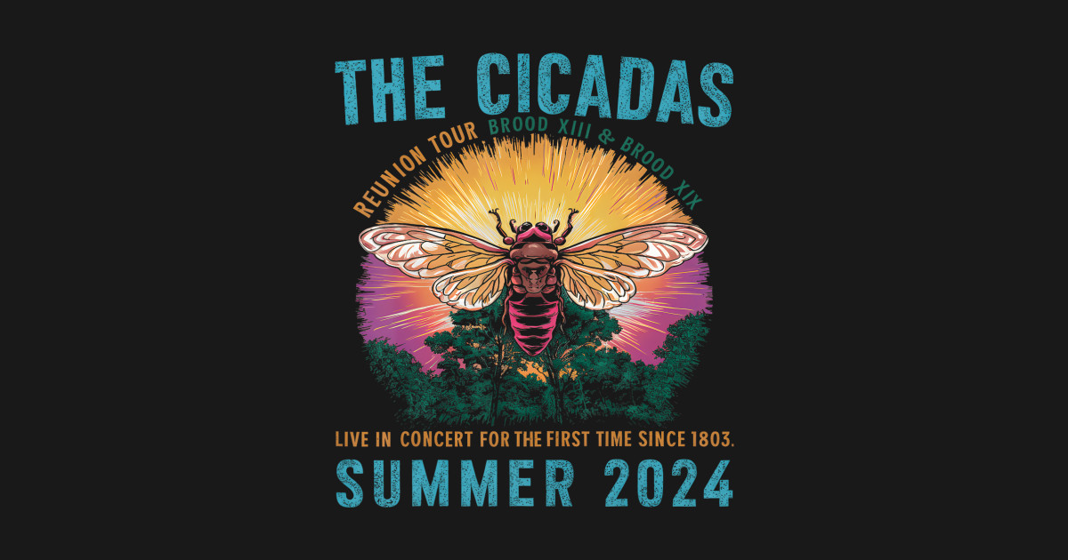 Funny The Cicadas Reunion Tour Summer 2024 - Cicada Tour 2024 - T-Shirt ...