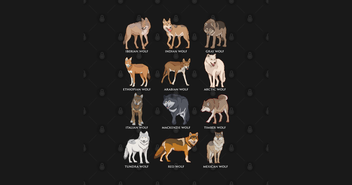 Types of wolves - Types Of Wolves - T-Shirt | TeePublic