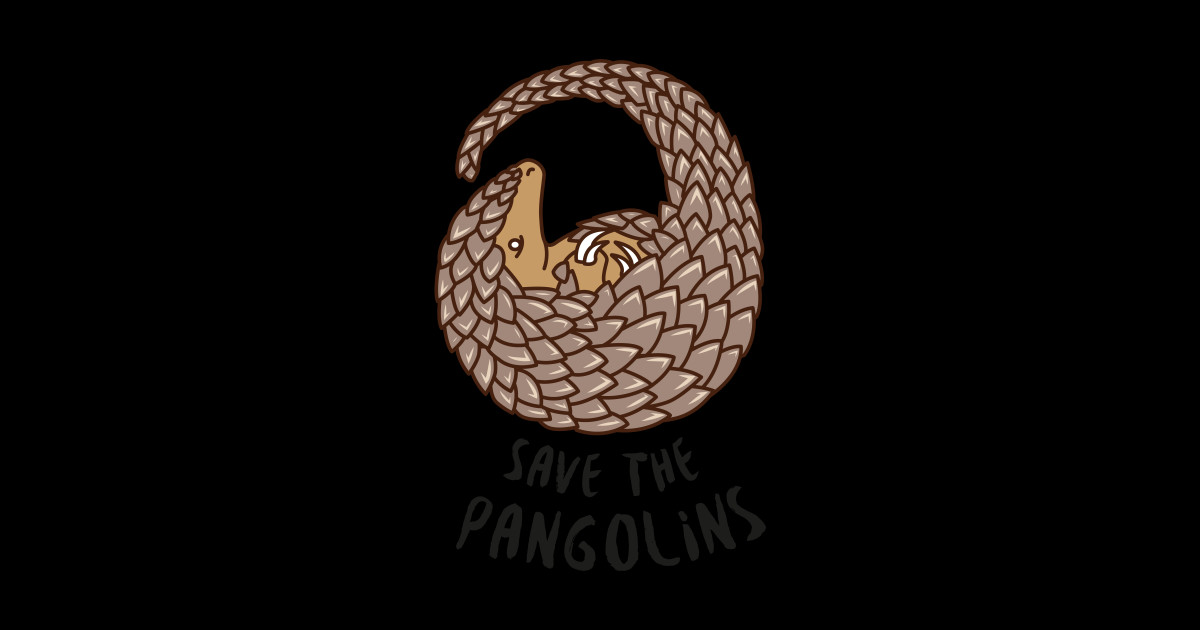 Save the Pangolins - Curled Up Pangolin - Save Pangolins - Posters and ...