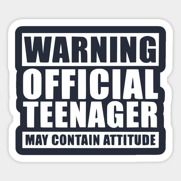 Warning Official Teenager T Shirt 13th Birthday - Warning Official ...