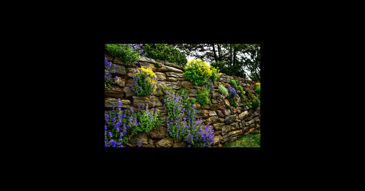 Rock Wall Flower Garden - Rock Wall - Sticker | TeePublic