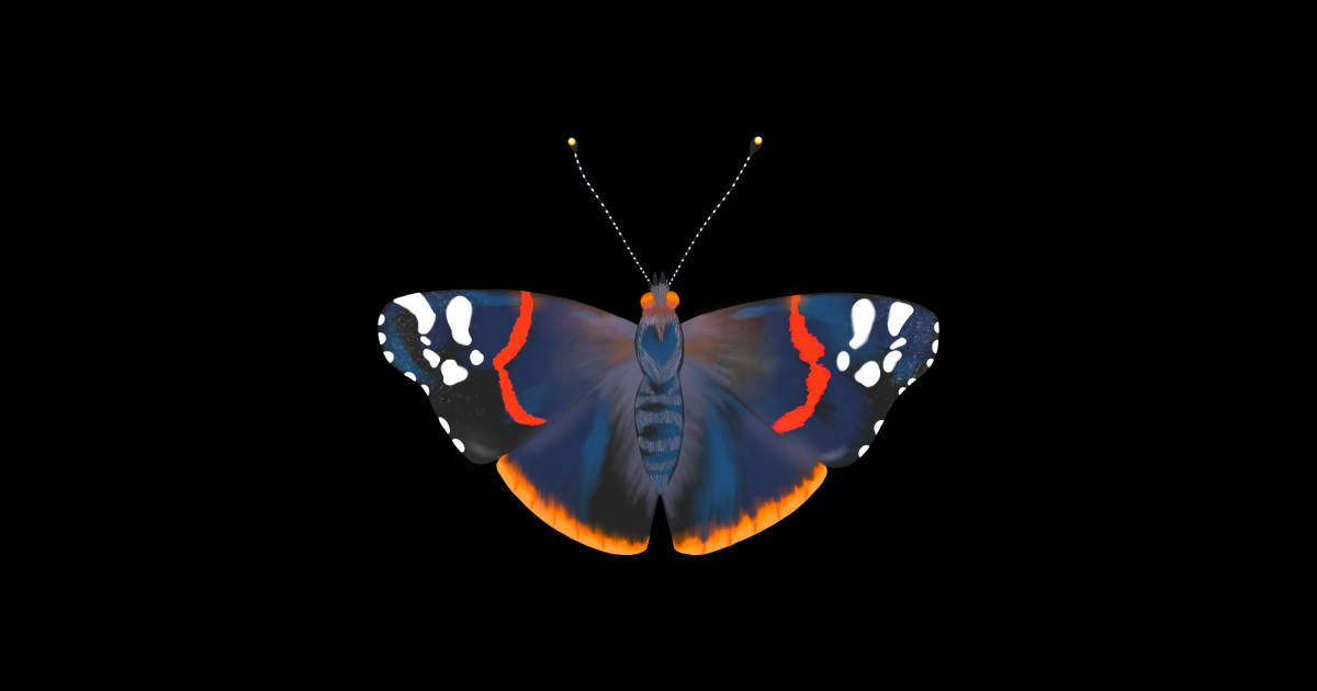 Red admiral butterfly - Red Admiral - Sticker | TeePublic