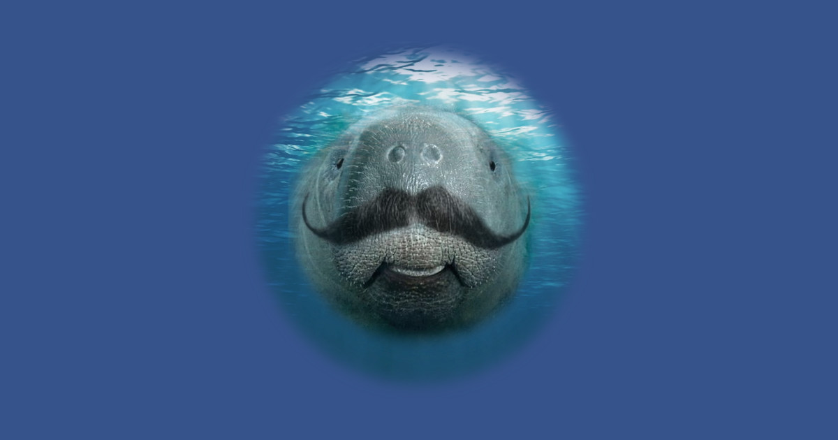 Manatee Max's Mustache - Manatees - Tank Top | TeePublic