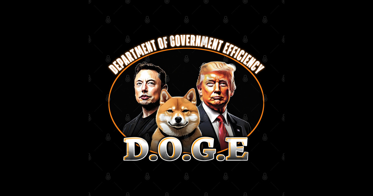 Doge department of government efficiency - Department Of Government ...