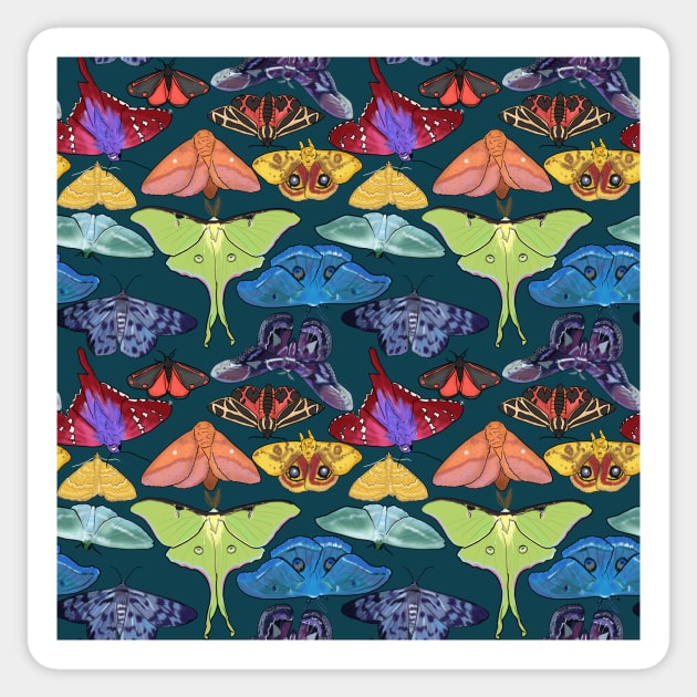 Pride Moth for Pride Month Rainbow on Teal - Pride - Sticker | TeePublic