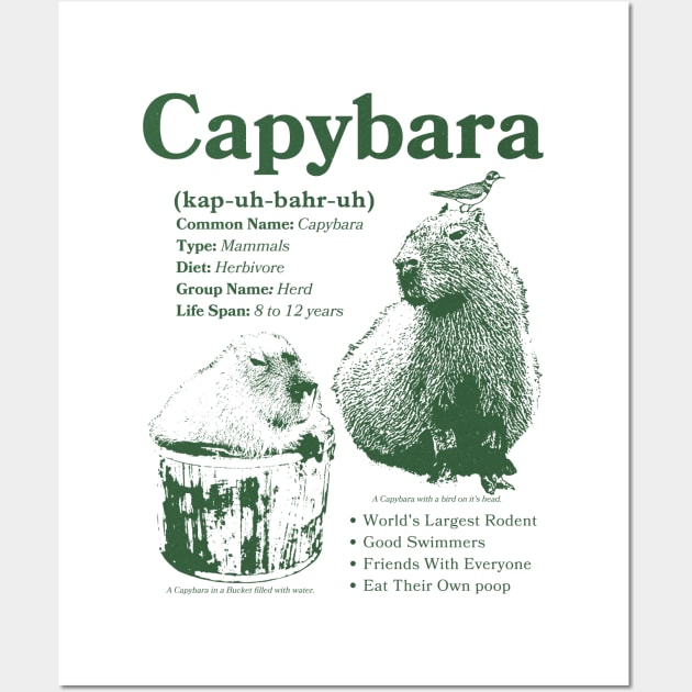 Vintage Capybara Infographic - Capybara - Posters and Art Prints ...