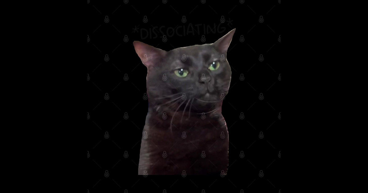 Dissociating, Zoning Out Black Cat Meme - Dissociating Black Cat Meme ...