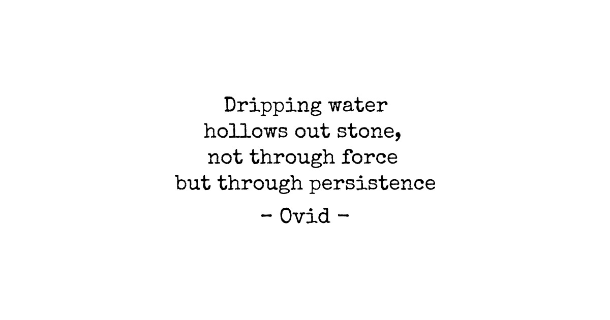 Dripping Water Hollows Stone – Persistence Quote - Activism - T-Shirt ...