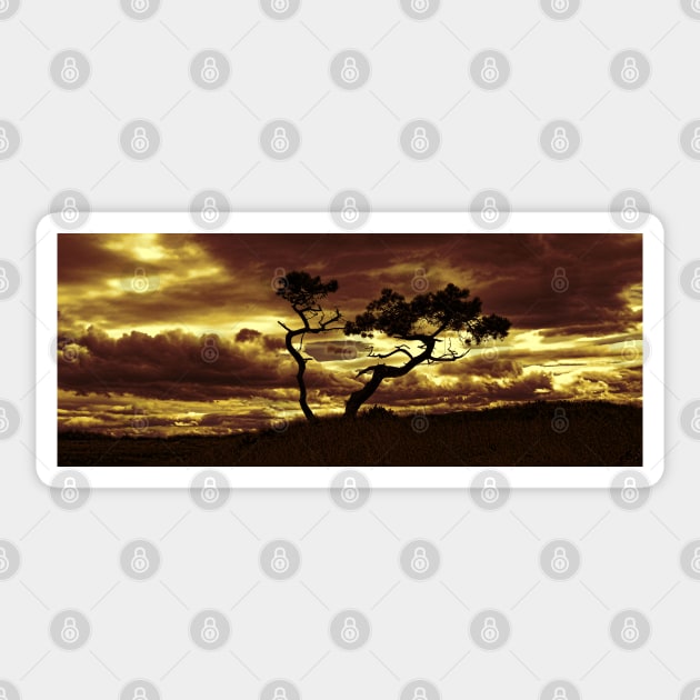 Tree Dance 3(Sepia-Gold) - Tree - Sticker | TeePublic
