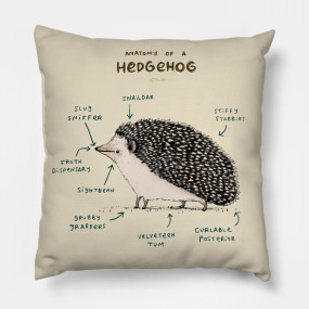 Anatomy of a Hedgehog - Hedgehogs - T-Shirt | TeePublic