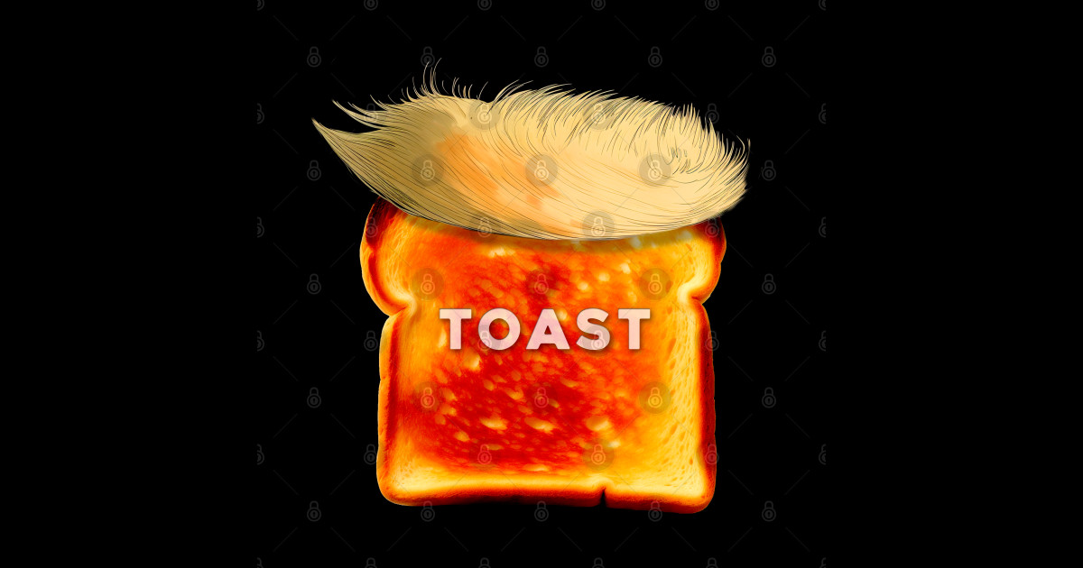 Trump is Toast: Donald Trump Guilty in New York Civil Fraud Case ...