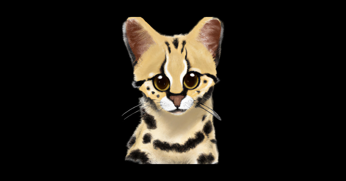 Cute Margay Drawing - Margay - Sticker | TeePublic