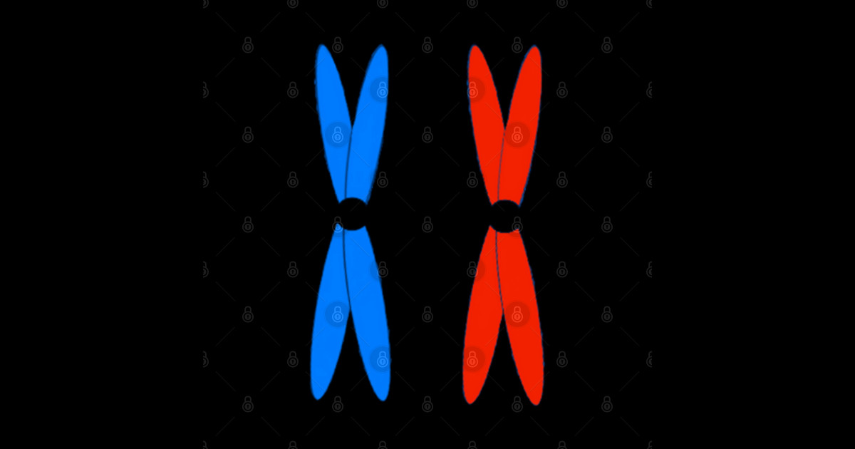 Chromosomes - Chromosome - Sticker | TeePublic