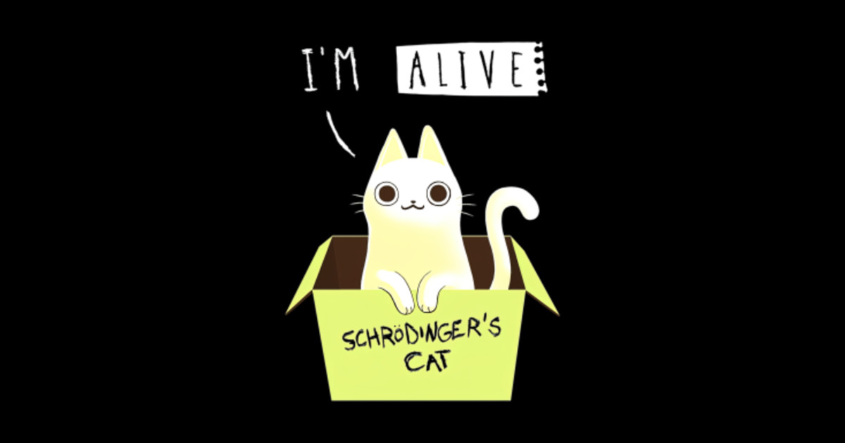 Schrodinger Day - Schrödinger's Cat - Science Physics - Cute Kitty in a ...