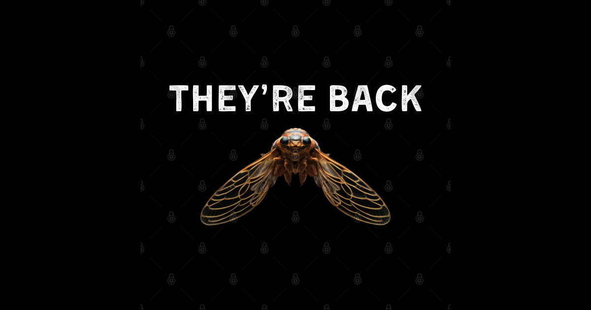 They're Back Cicada Invasion 2024 Cicada Brood Cicada Nymph - Theyre Back Cicada - Posters and ...