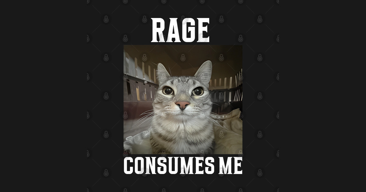 Rage Consumes Me Cat Meme Shirt, rage is consuming me cat tshirt, funny ...