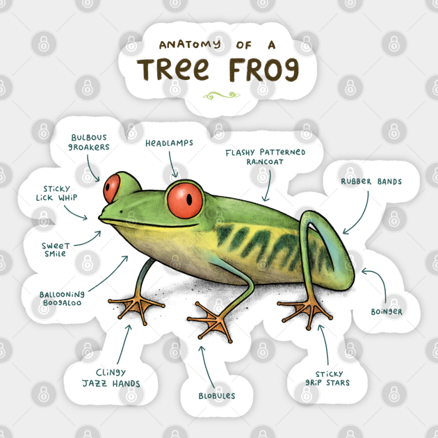 Anatomy of a Tree Frog - Tree Frog - Sticker | TeePublic