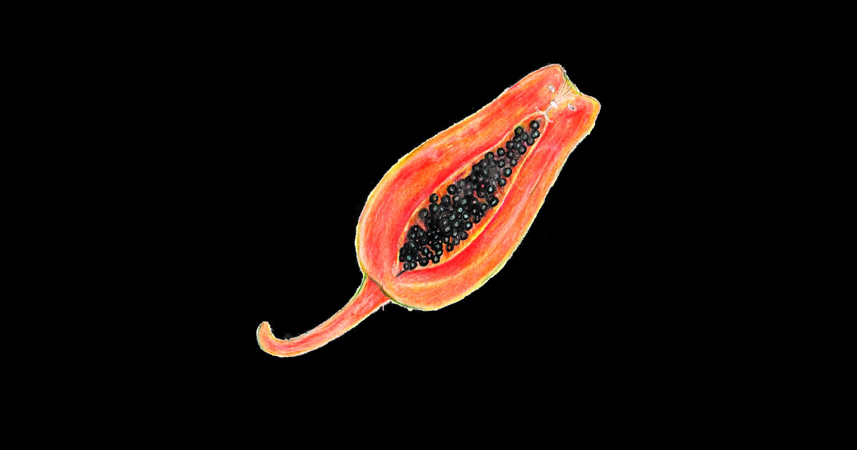 Papaya cat artwork - Papaya Fruit - Sticker | TeePublic