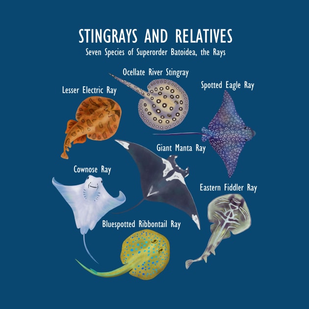 Stingray Species: Manta Ray, River Stingray, and More - Stingray ... Stingray Species: Manta Ray, River Stingray, and More - Stingray ...