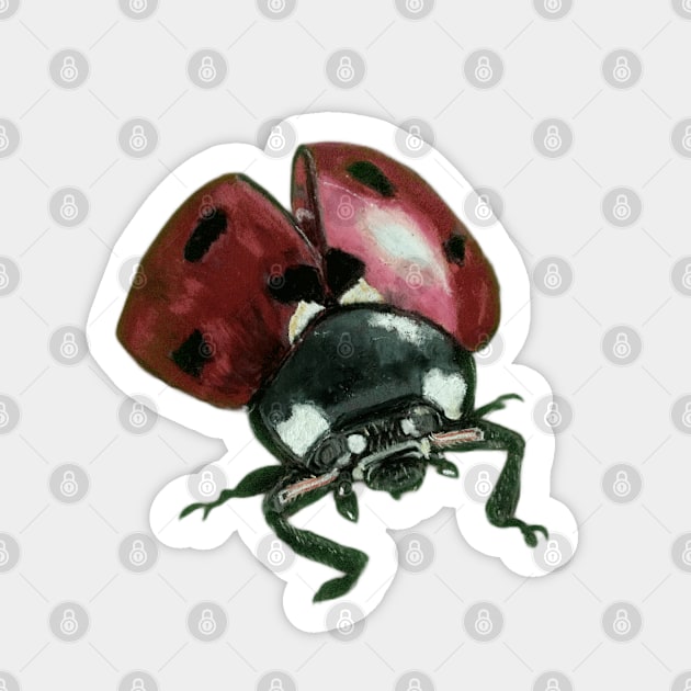 Ladybird insect art work on red background - Ladybird - Sticker | TeePublic