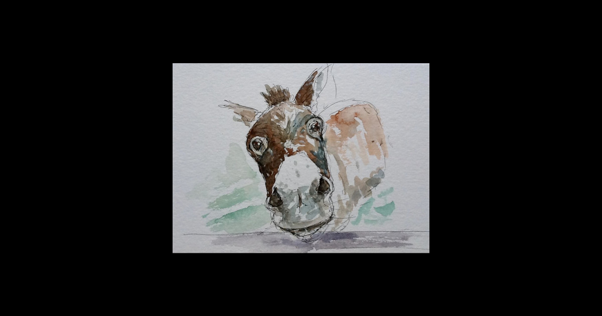 Donkey watercolour sketch - Donkey - Sticker | TeePublic