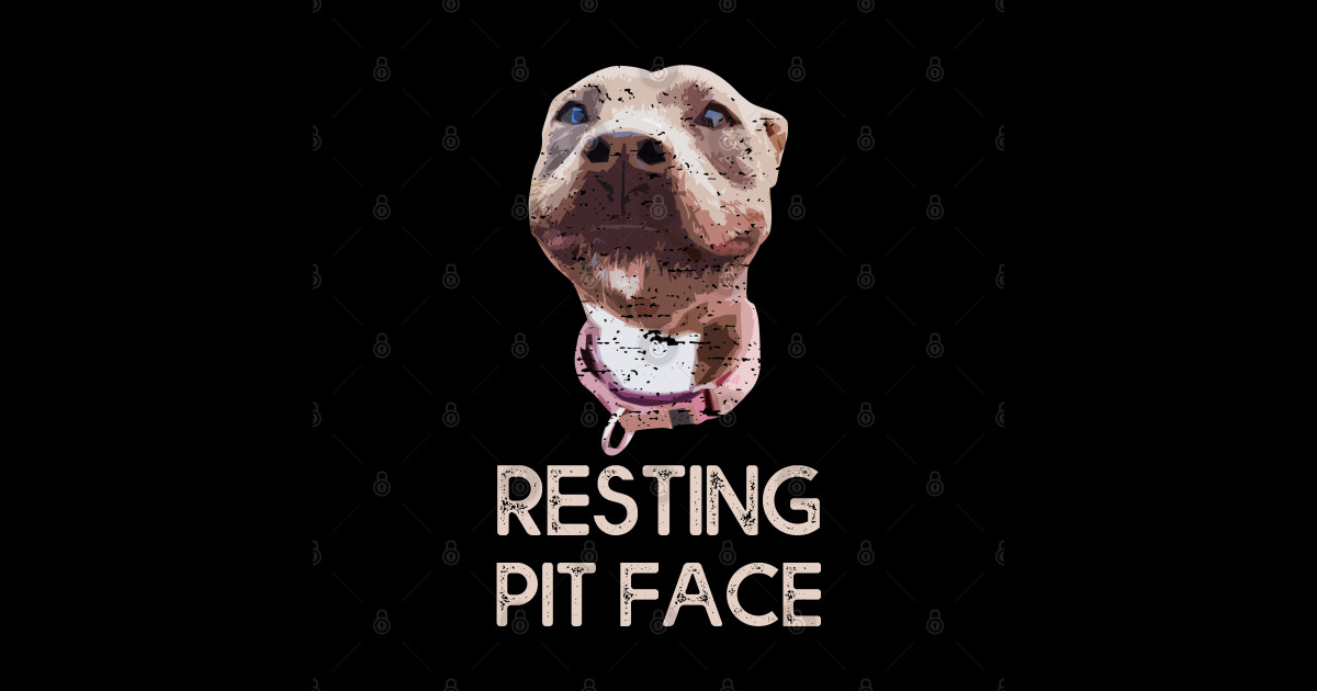 Funny Dog Resting Pit Face Retro - Resting Pit Face Gift - Sticker ...