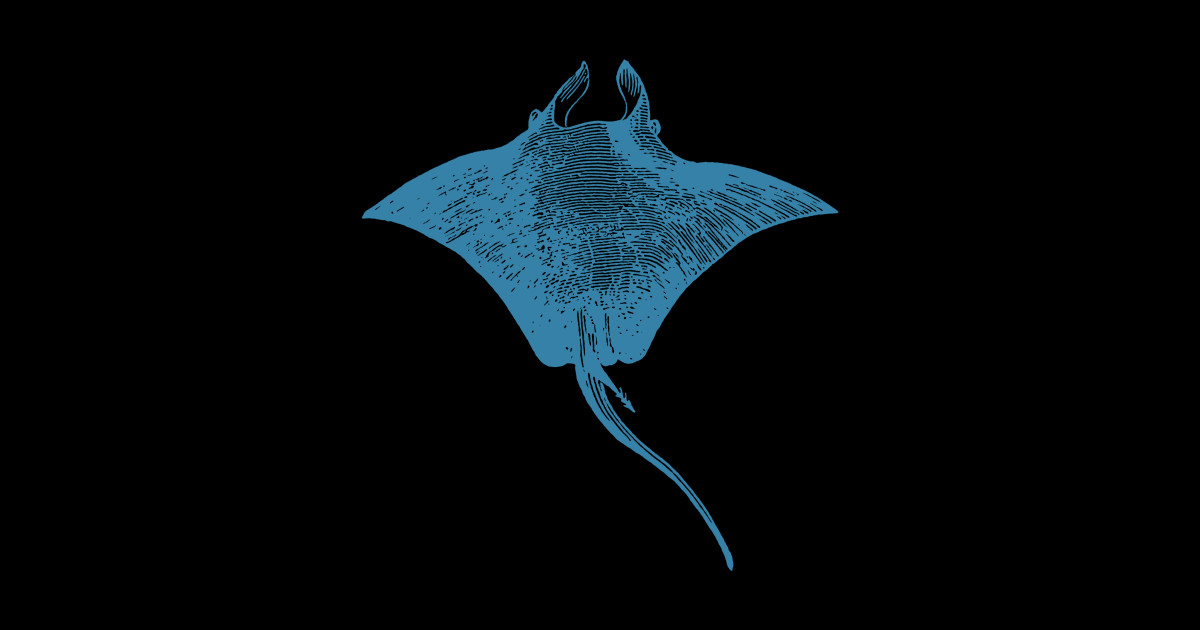 Stingray | Oceanography Sea Animal Marine Life - Stingray - Posters and ...