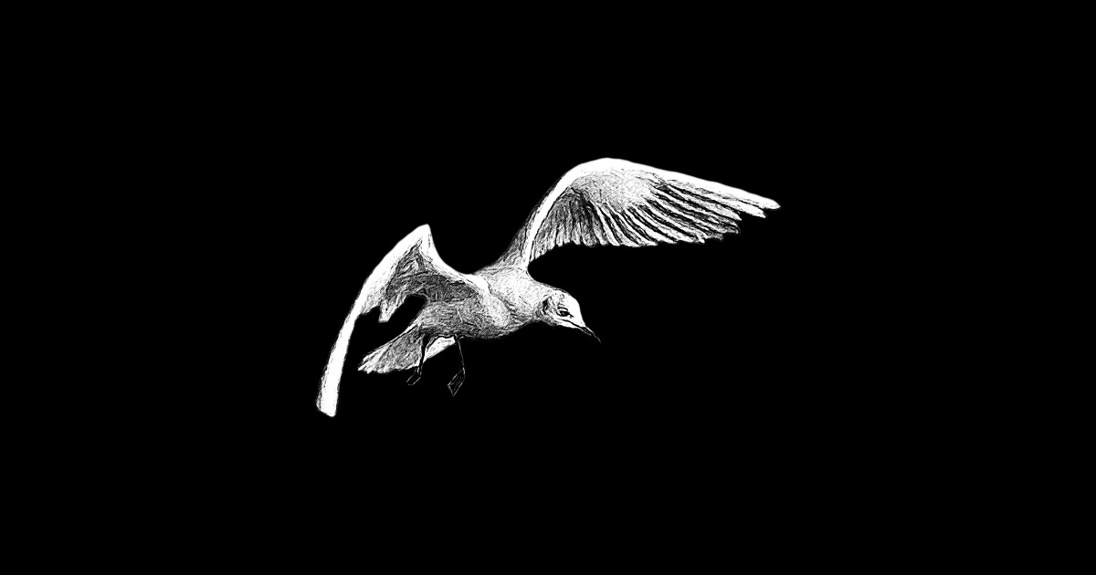 Seagull - Seagull - Sticker | TeePublic