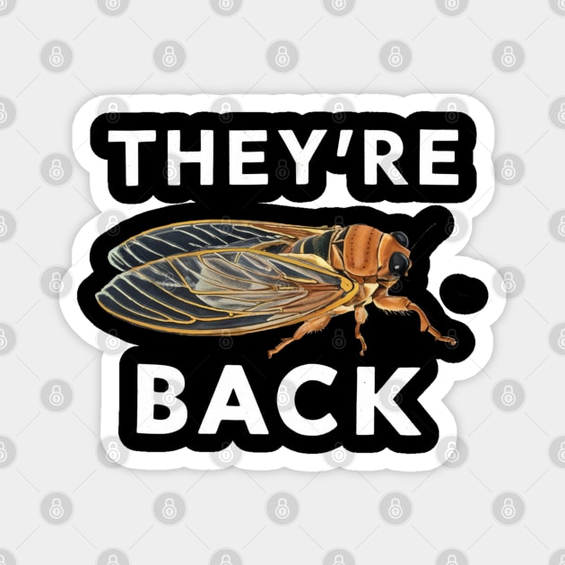 Theyre Back Cicada Invasion 2024 Cicada Brood Cicada Nymph Theyre Back Cicada Magnet