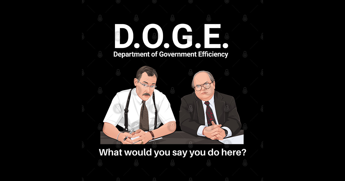 D.O.G.E. Department of Government Efficiency - Doge - Posters and Art ...